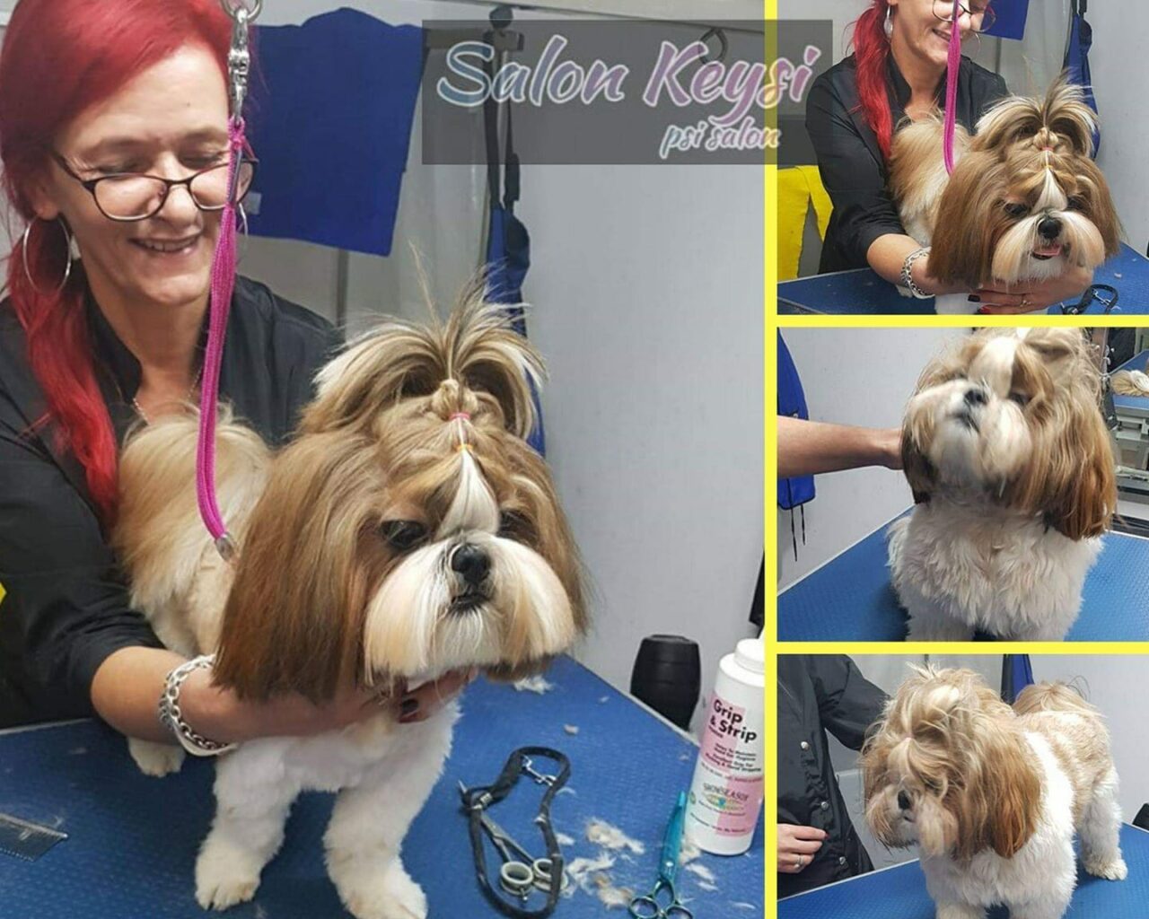 Psy - Psi Salon Keysi - Groomer . Pabianicki psi fryzjer.